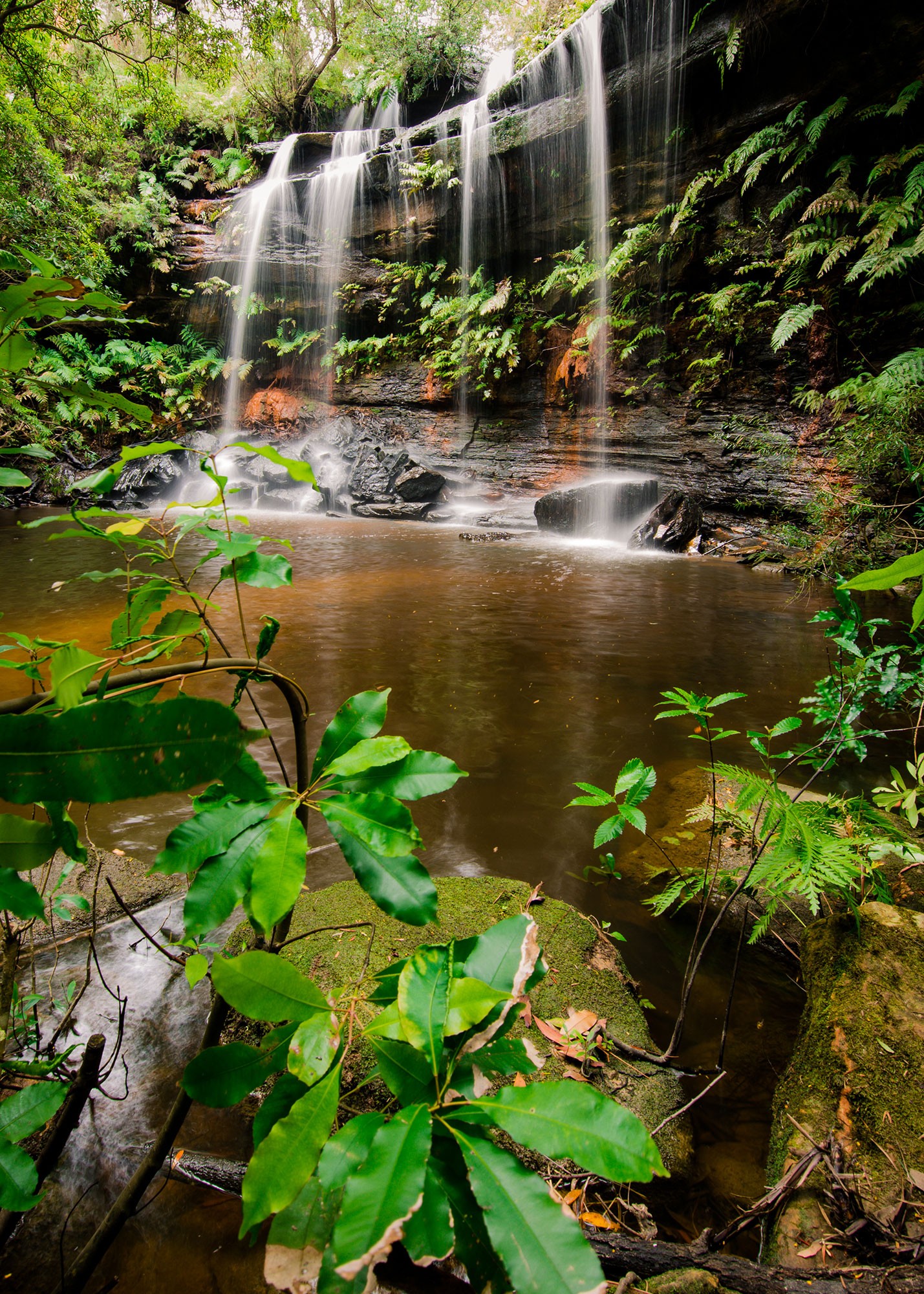 HOYA | Variable Neutral Density